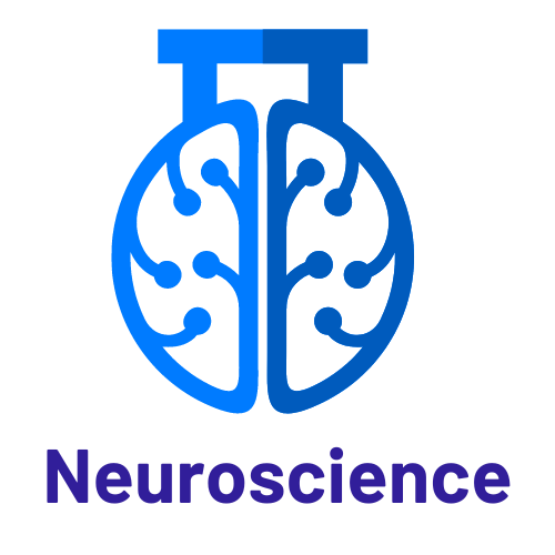 StarSpark AI | AI + Neuroscience Powered Math Tutors